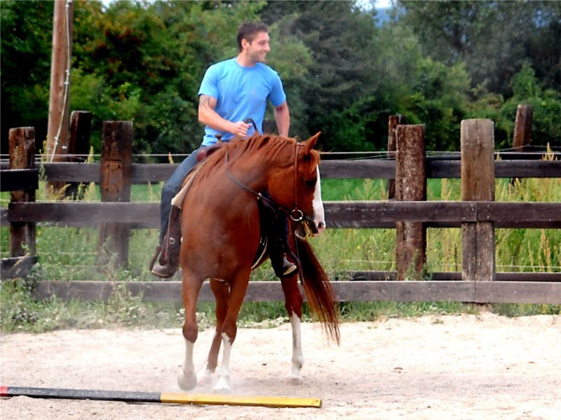 2011 - Desperado Ranch