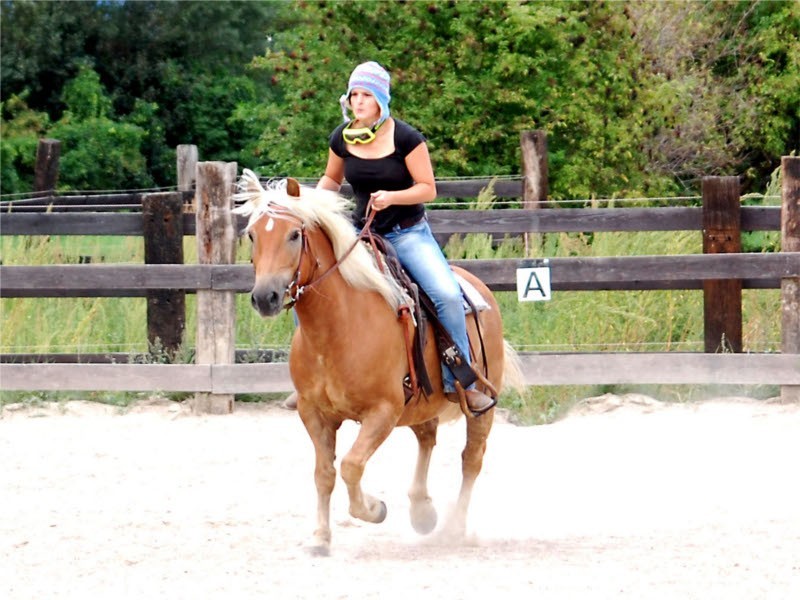 2011 - Desperado Ranch