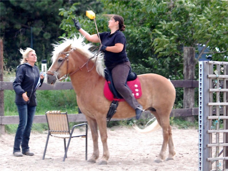 2011 - Desperado Ranch