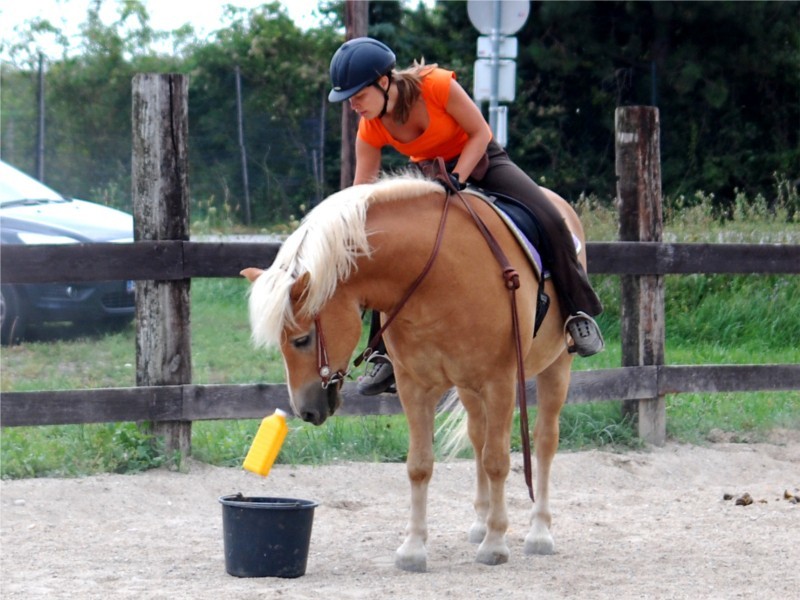 2011 - Desperado Ranch