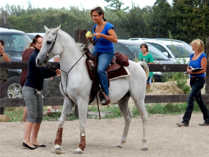 2011 - Desperado Ranch
