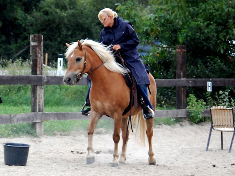 2011 - Desperado Ranch